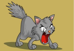 The Best Ways to Stop Your Kitten Terrifying Your Older Cat! - Archie Cat