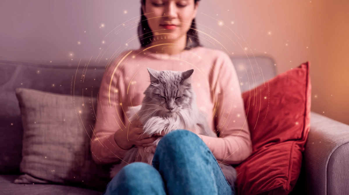How Cat Purring Affects Your Health and Happiness - Archiecat